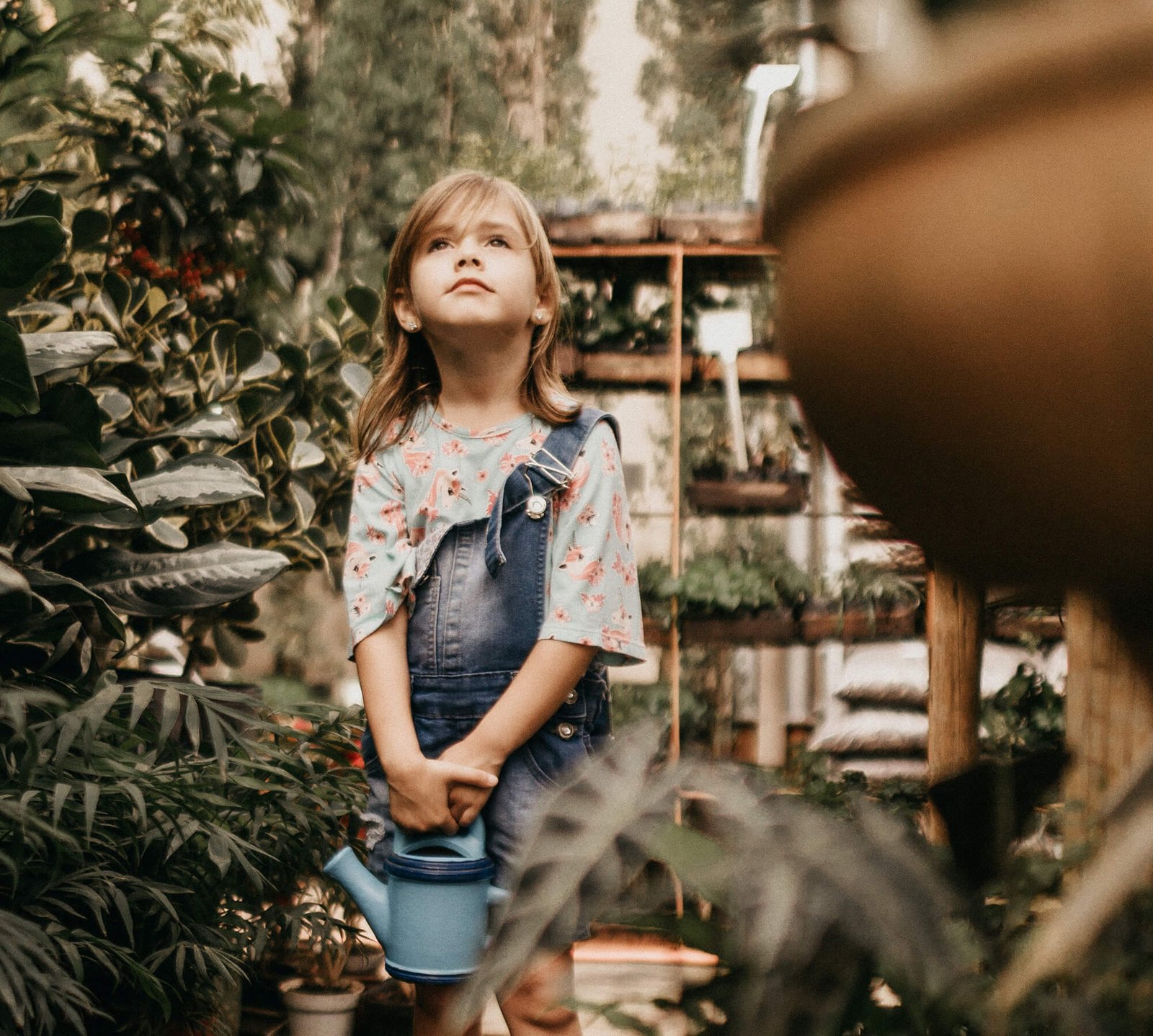 Curso Volver a florecer - Instituto de bienestar infantil